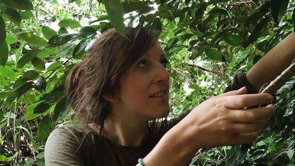 Britons survived in Mexican jungle on peanuts and fish - BBC News