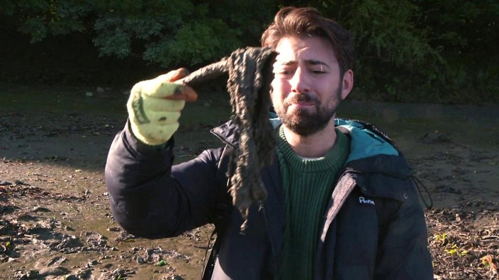 Sharks are living in the River Thames, new study reveals - BBC Newsround