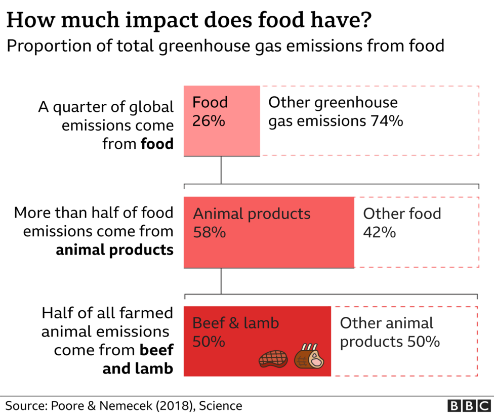 Climate change food calculator: What's your diet's carbon footprint ...
