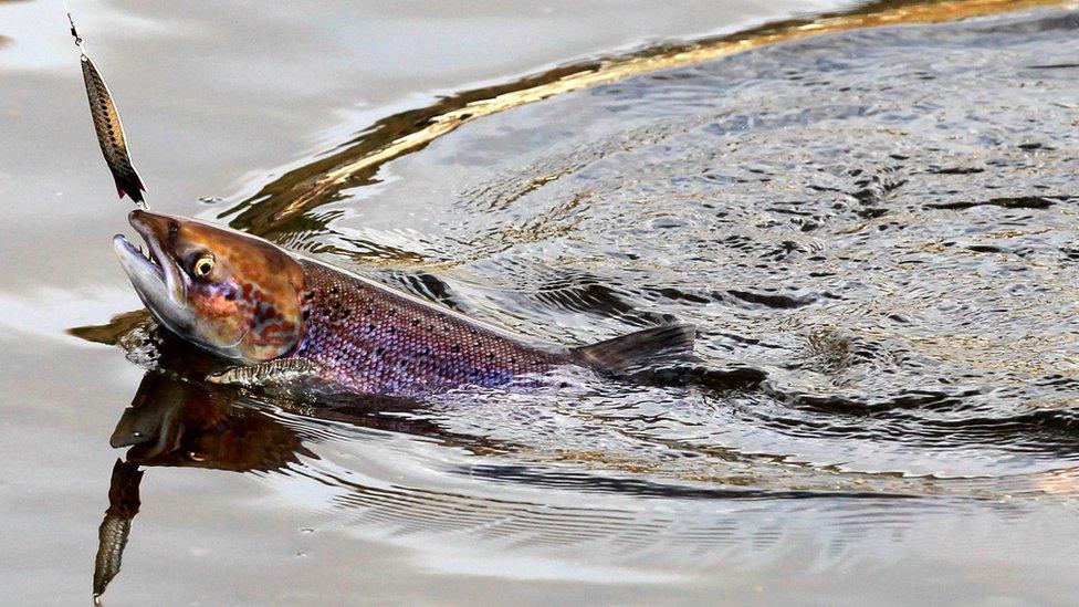 Fishing hoping to land Olympic status - BBC News