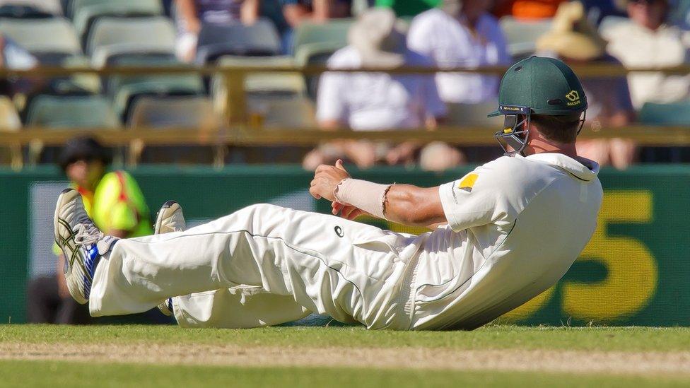 Six ways nature has inspired tech innovations - BBC News