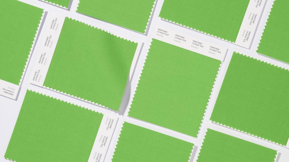 The people who know what colour you'll like in 2019 - BBC News