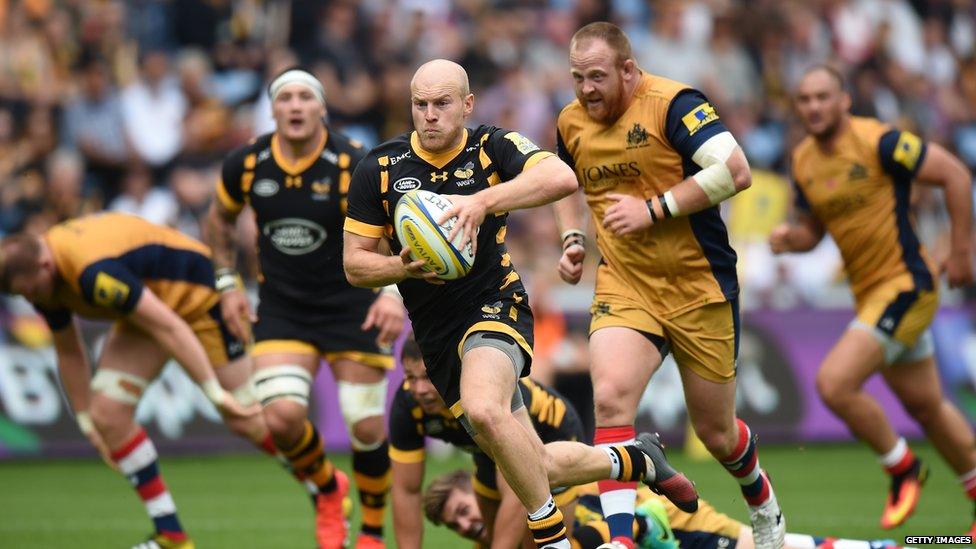Wasps rugby store