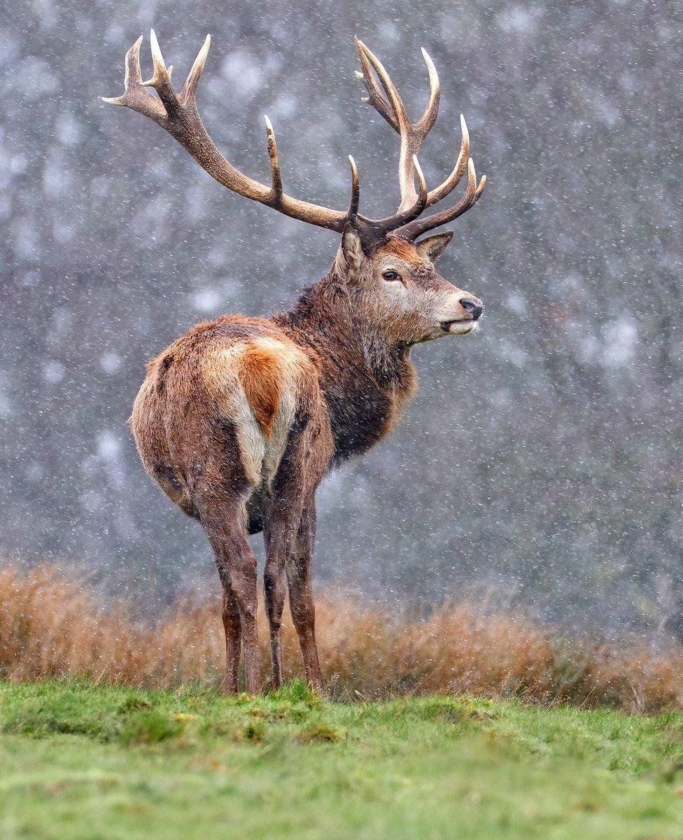 England's Big Picture: 8 - 14 February - BBC News