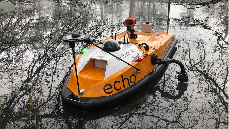 Sonar used to detect underwater beaver burrows - BBC News