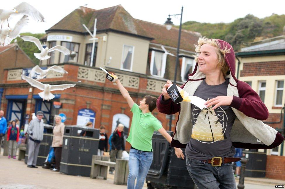 'Gull running' craze sweeps UK seaside towns from Whitby to Newquay ...