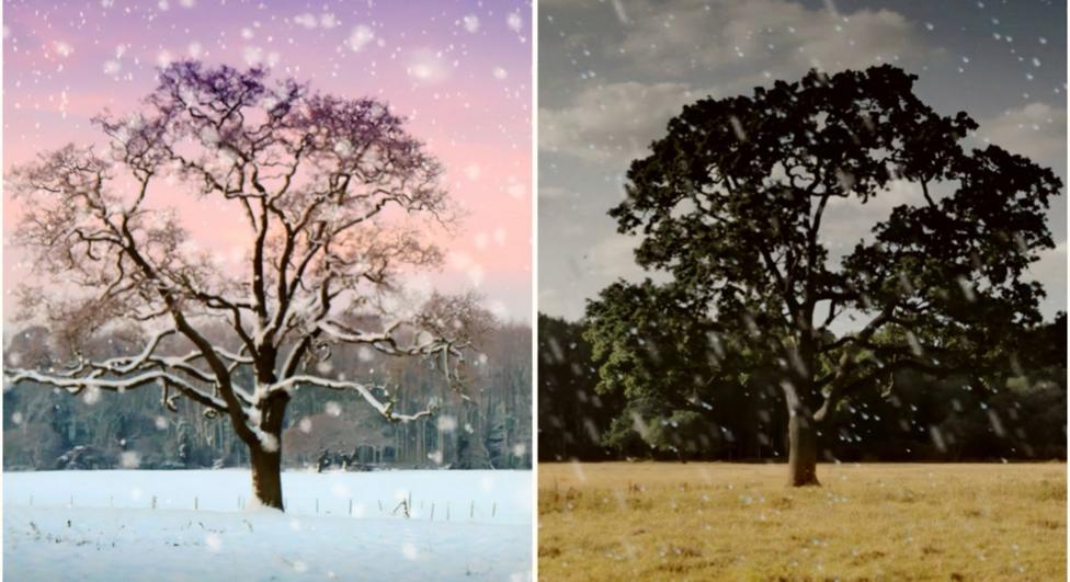 What's the difference between summer and winter storms? - BBC Newsround