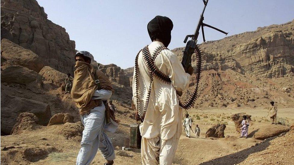 Pakistan bustard hunting: Shots fired at Gulf royal party - BBC News