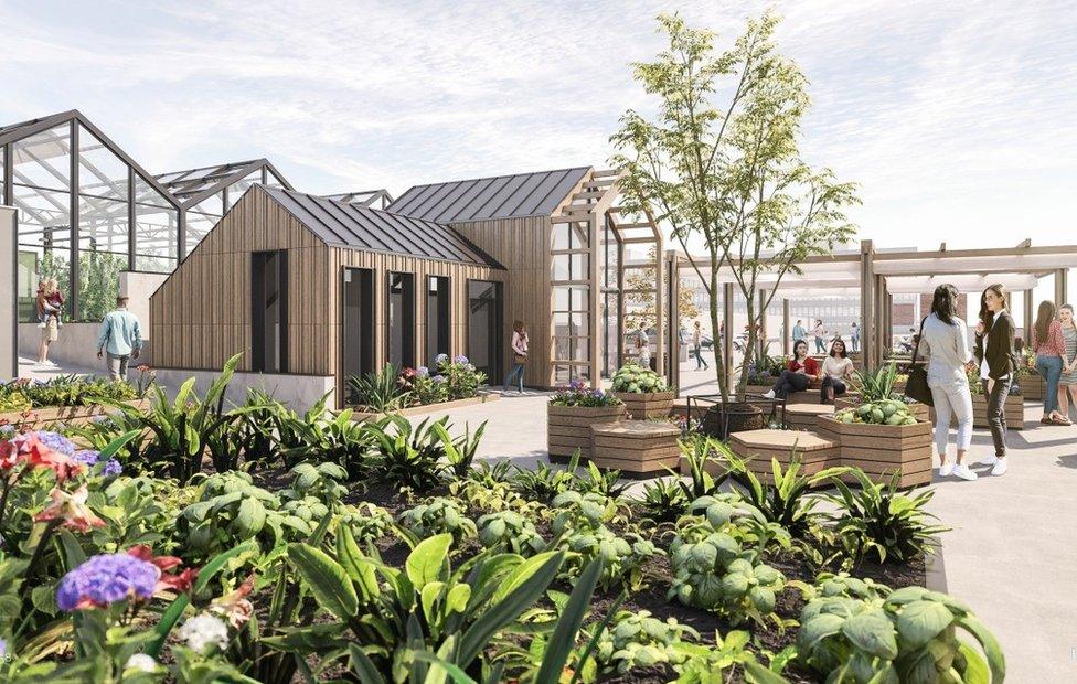 More than 500 question Birmingham urban farm car park plans - BBC News