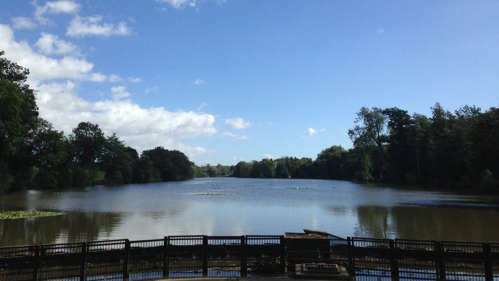 Family fights homes plan for Southwick Park estate - BBC News