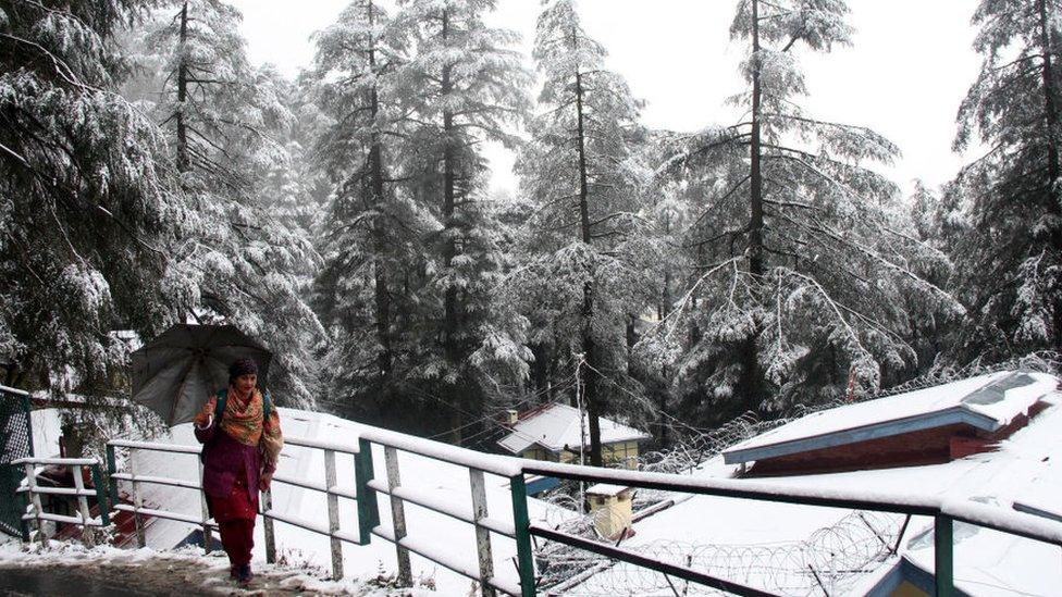 Jammu and Kashmir, Himachal Pradesh: Heavy snow disrupts life in India ...