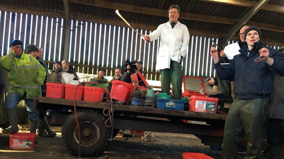 Arran farm sale as John Paterson prepares for eviction - BBC News