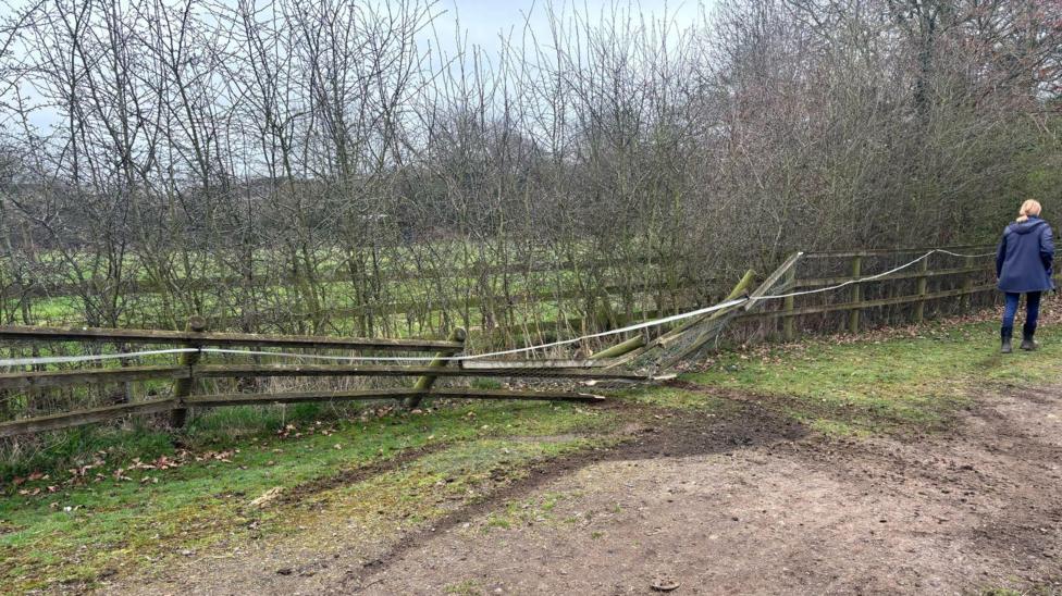 Nuneaton riding school for disabled 'devastated' after burglary - BBC News