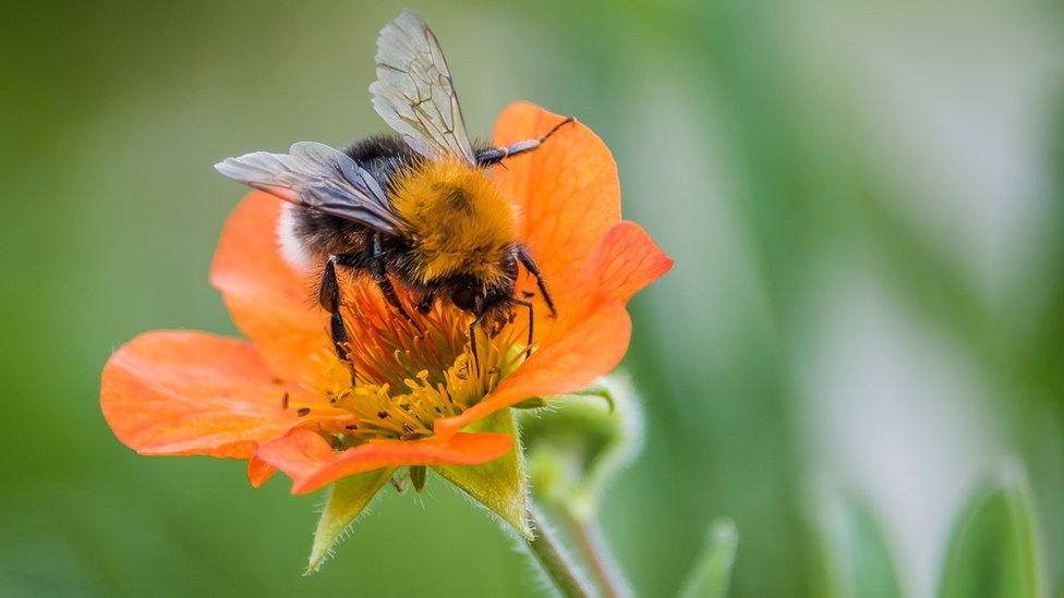 Oxfordshire's Big Picture - BBC News