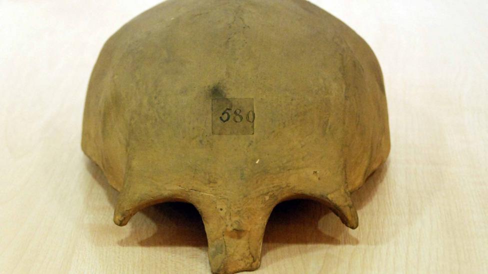 Former Bede's World museum to reopen as Jarrow Hall - BBC News