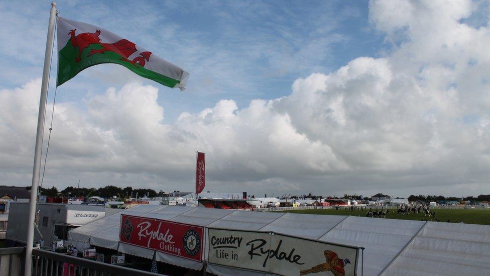 Lluniau Sioe Môn: Mawrth - BBC Cymru Fyw