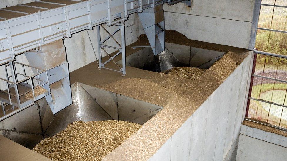 Cardiff council approves woodchip power station plan - BBC News