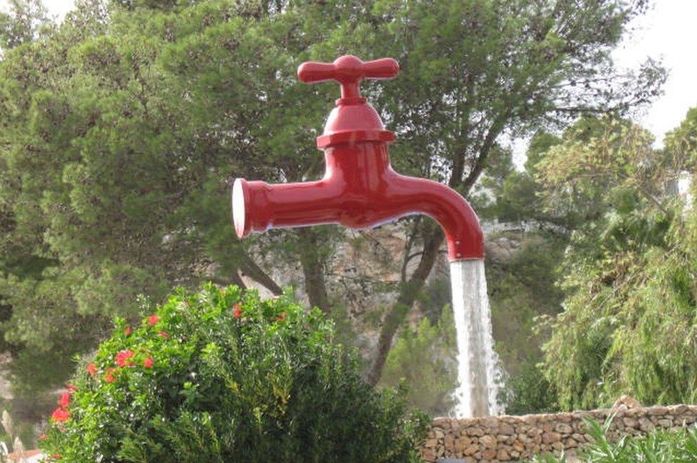 Your pictures: Strange but true - BBC News