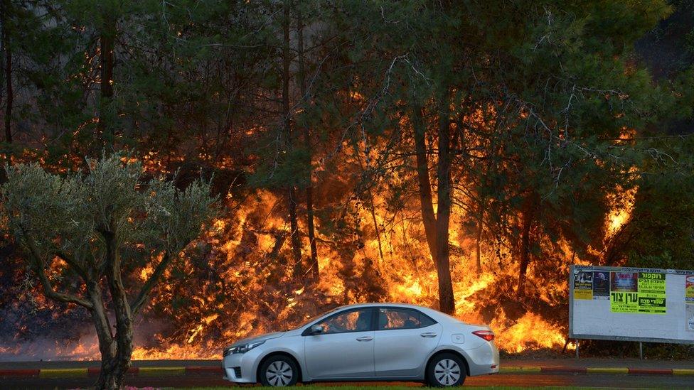 Israel fires: Tens of thousands flee as fires hit Haifa - BBC News