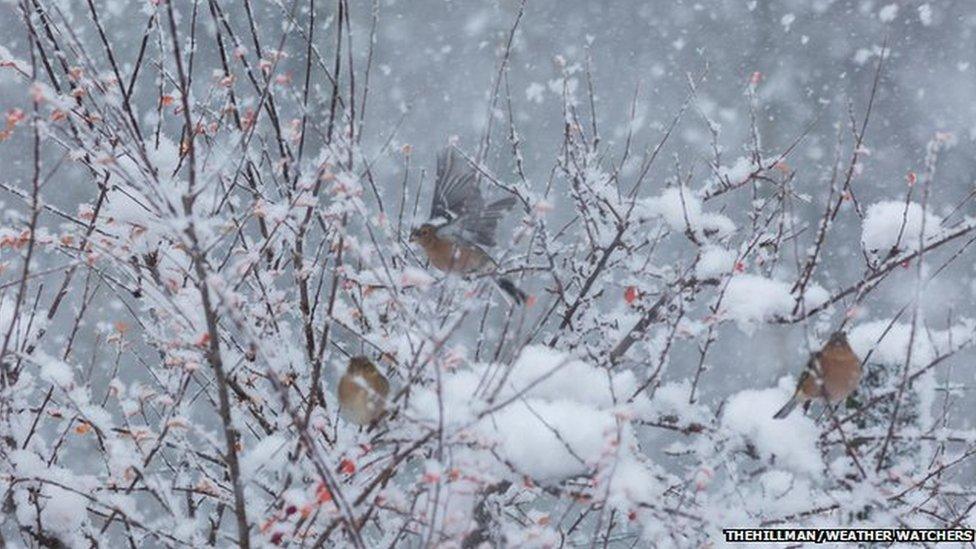A year of stunning Weather Watchers photos - BBC Weather