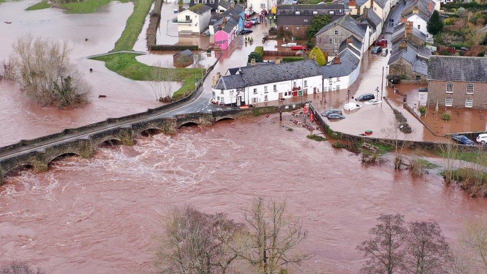 Floods How Do You Keep Pets Safe Bbc Newsround