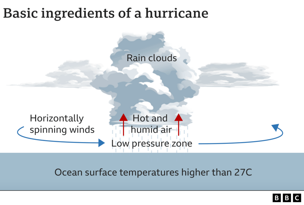 Hurricanes: A guide to the world's deadliest storms - BBC News