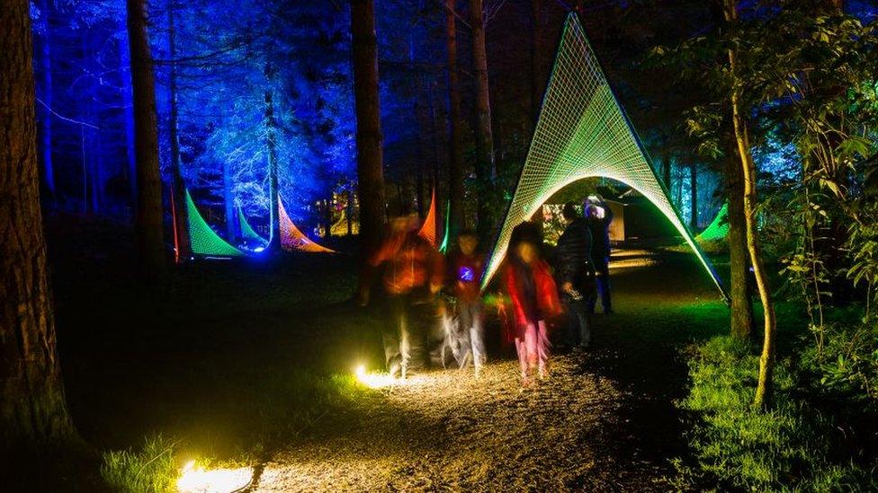 Enchanted Forest Cheshire