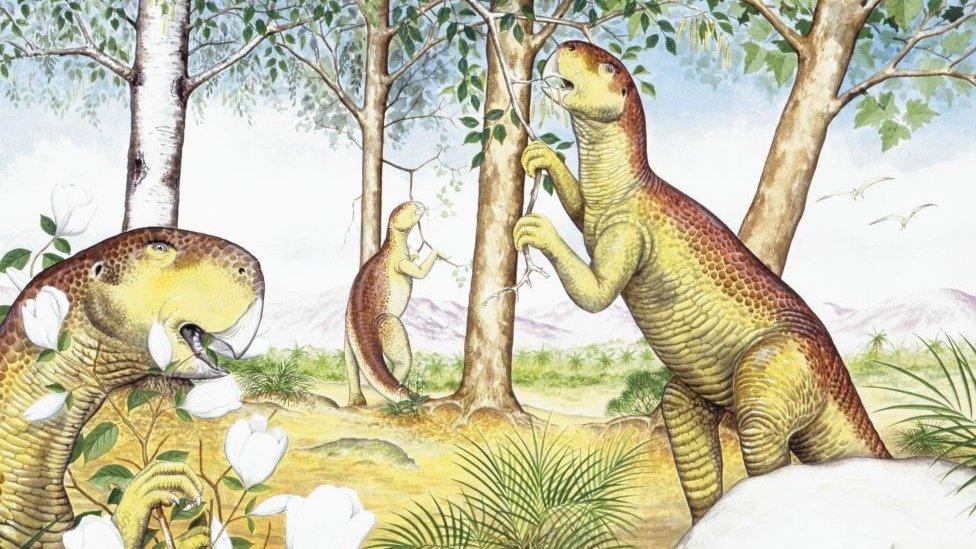 Parrot lizard: Fossil helps explain how dinosaurs developed feathers ...
