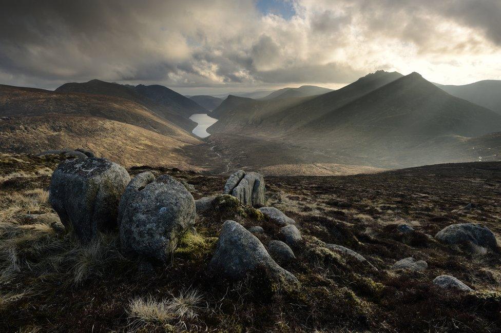 Photographers from across Britain capture its beauty. - BBC News