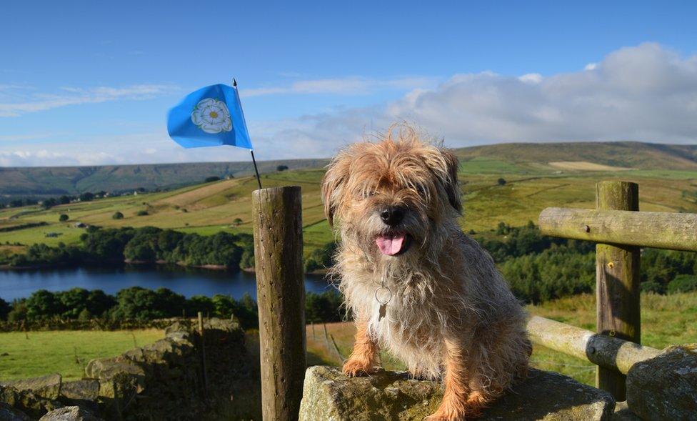 England's Big Picture: 1 - 7 August - BBC News