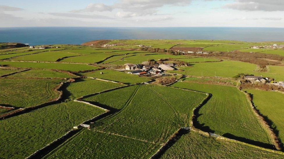 Bringing back endangered craft of Cornish hedging - BBC News