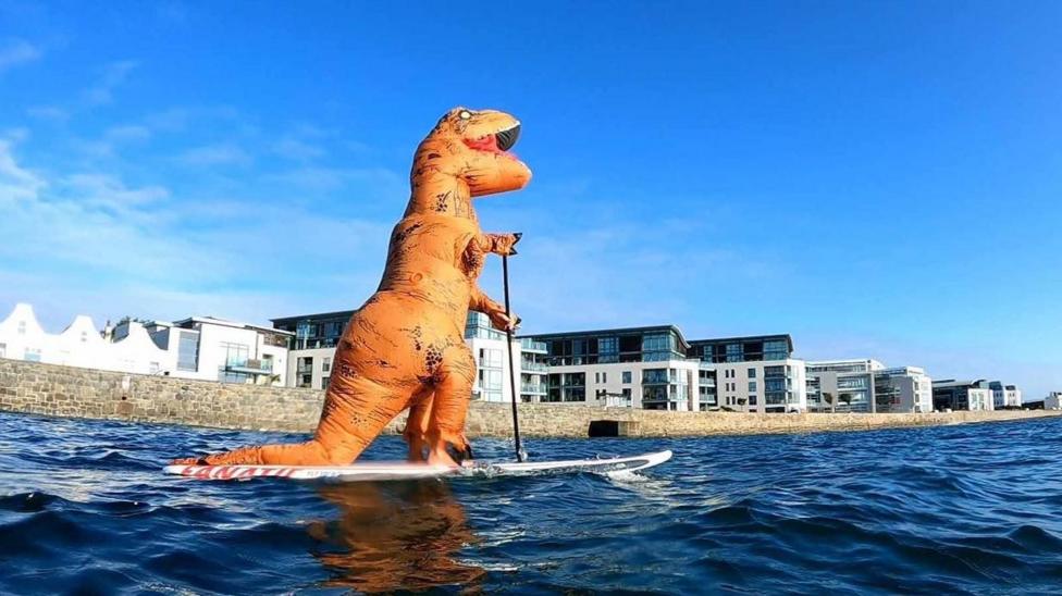 Risky Rex raises awareness of water safety in Guernsey - BBC News