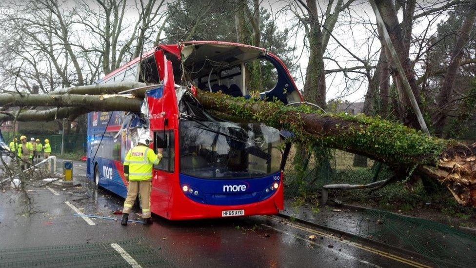 Tree smashes on to double-decker bus in Poole - BBC News