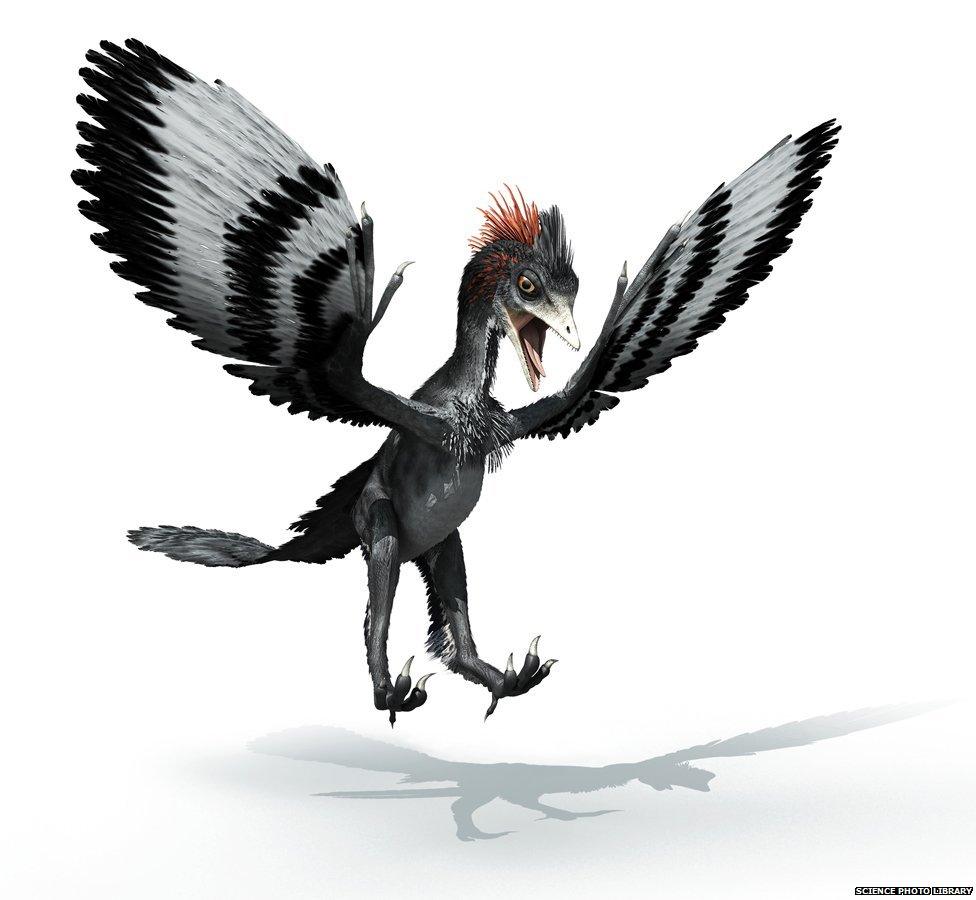 Why we like to believe that dinosaurs were scaly - BBC News