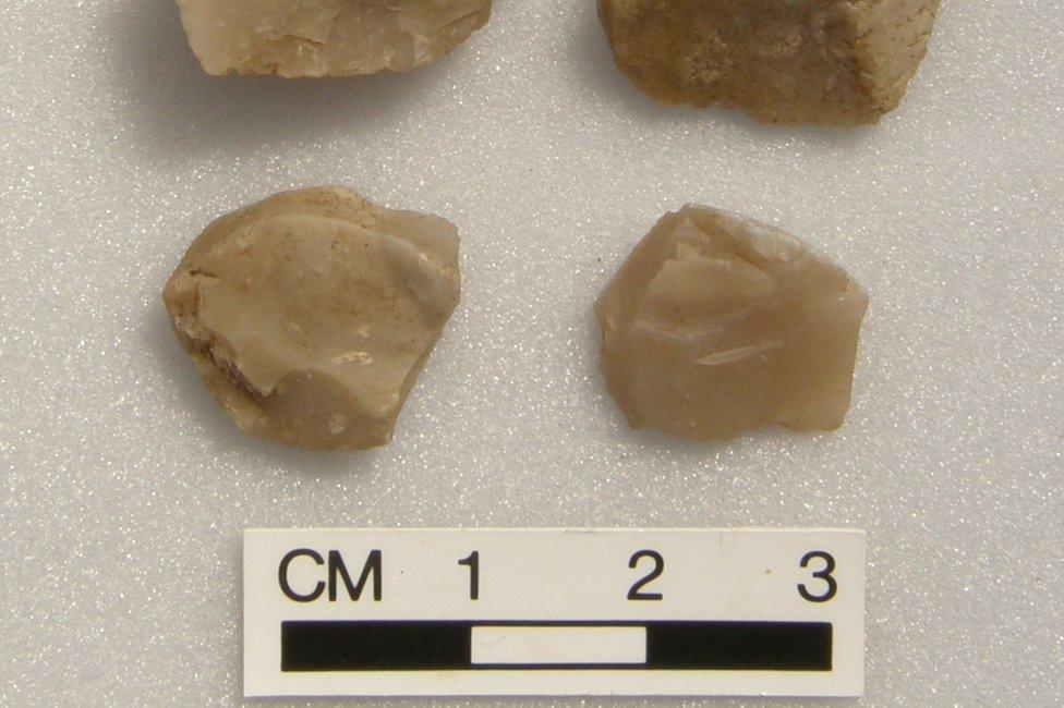 Britain's earliest gun flints found on tiny island - BBC News