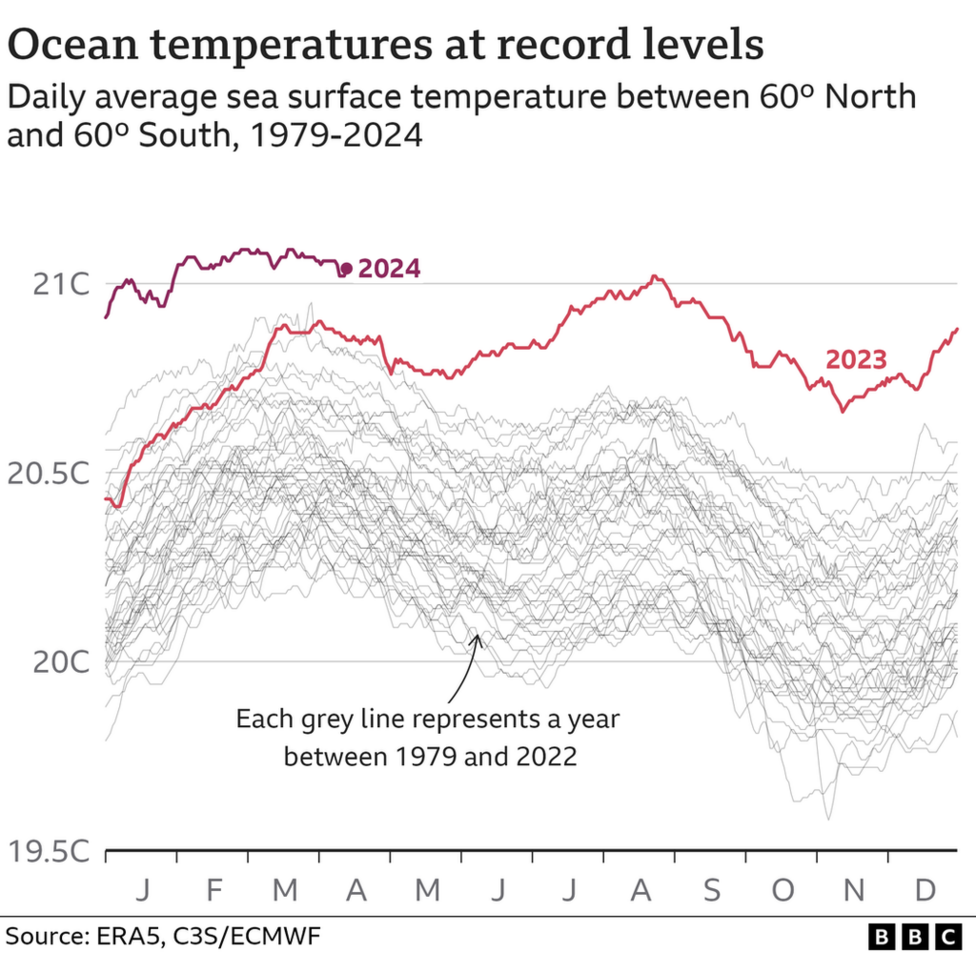 Coral bleaching: Fourth global mass stress episode underway - US ...