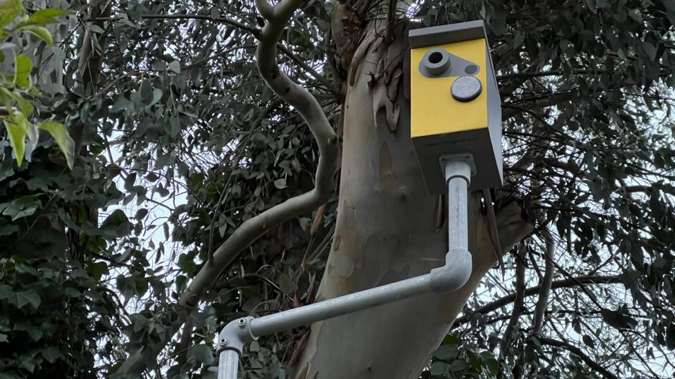 High Garrett bird box 'speed camera' deters speeding motorists - BBC News