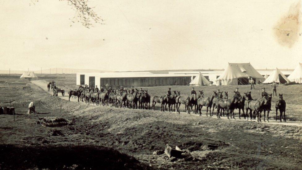 Appeal to uncover forgotten WW1 camps' history - BBC News