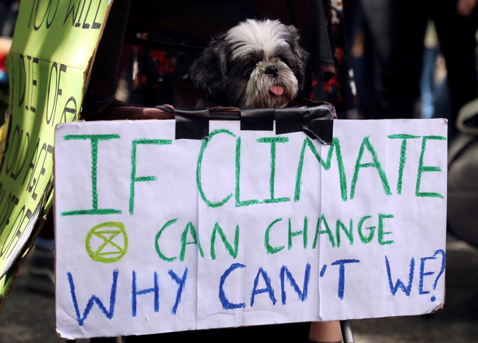 Mothers demand climate action in London march - BBC News