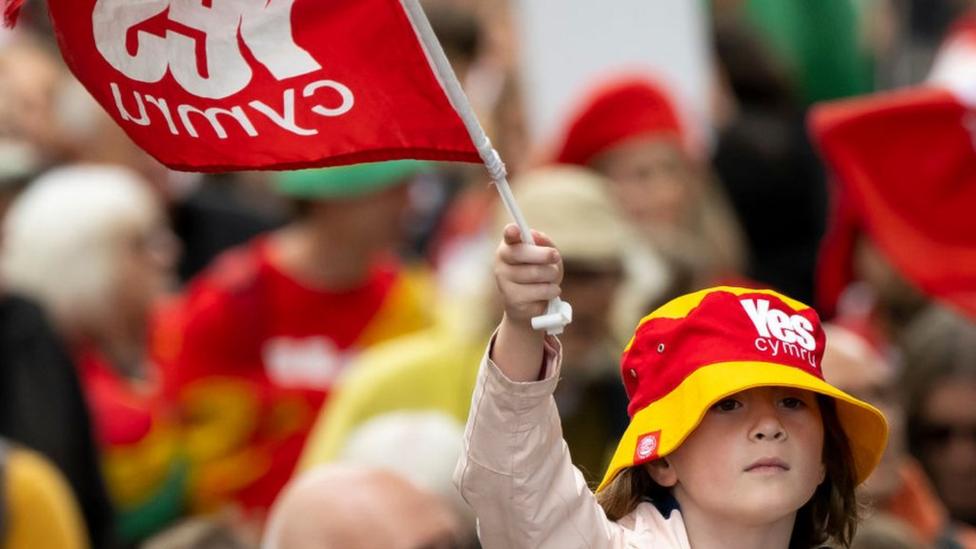 Independence one of three viable options for Wales, say experts - BBC News