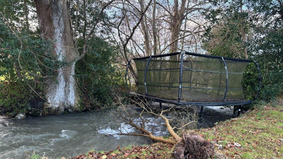 Thousands without power in Wales after Storm Darragh wind - BBC News