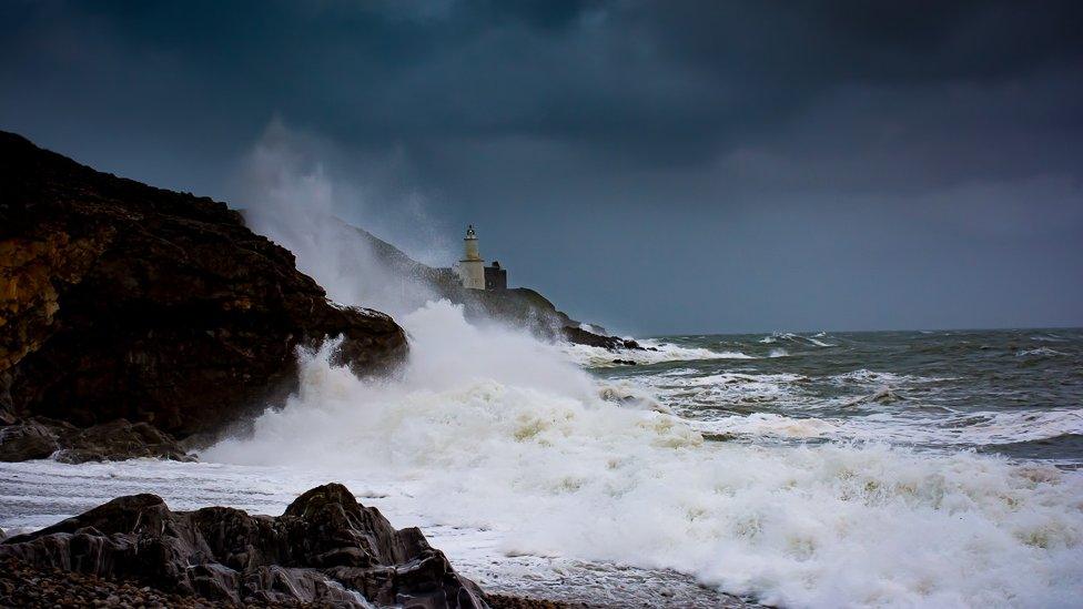 Your Pictures: 11-17 November 2015 - BBC News