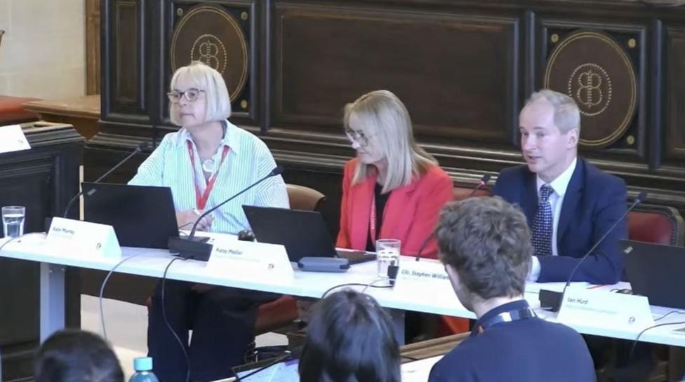 Bristol City Council allocates £2.8m for work on diseased trees - BBC News