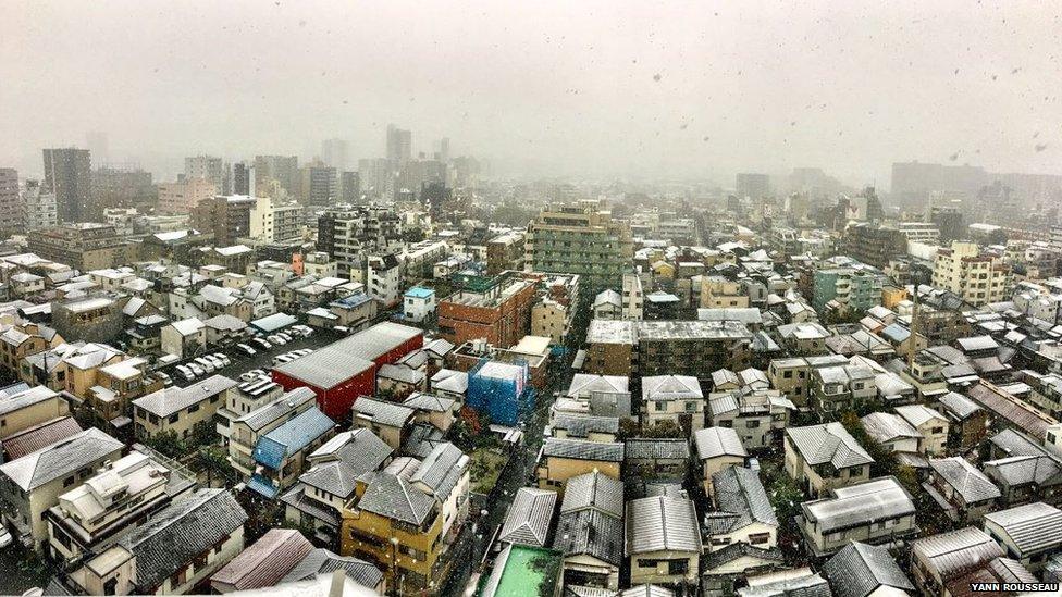 Snow falls in Tokyo in November for the first time in 54 years - BBC News