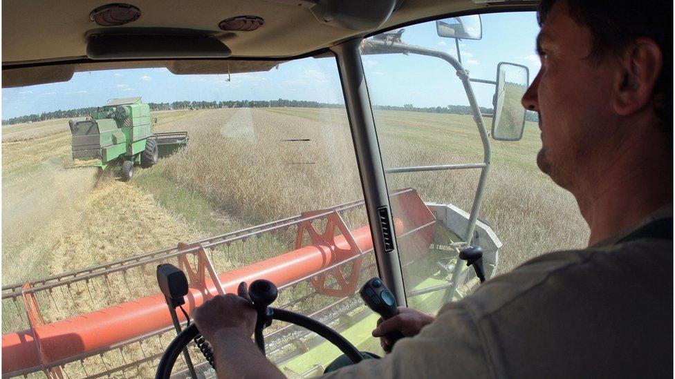 US farming company Cargill helps boost Ukraine exports - BBC News