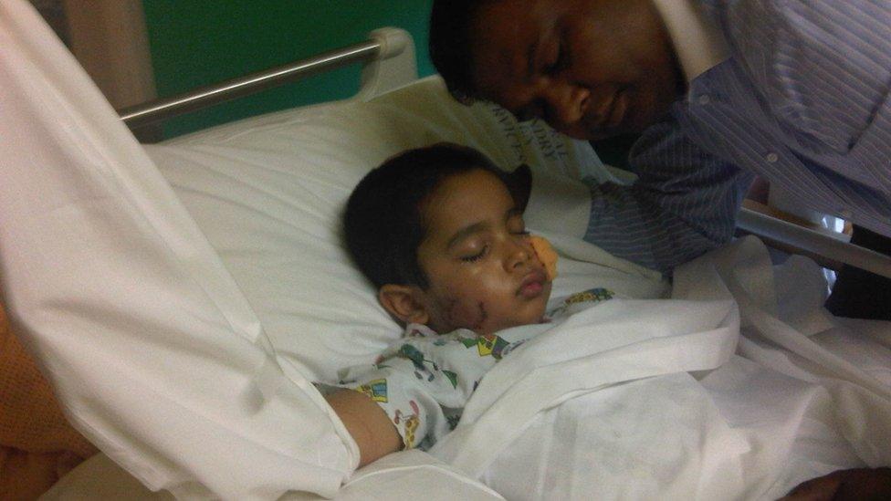 rhodesian ridgeback attacks on humans