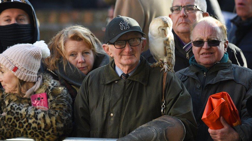 Prince Harry and Meghan wow in first royal visit together - BBC Newsround