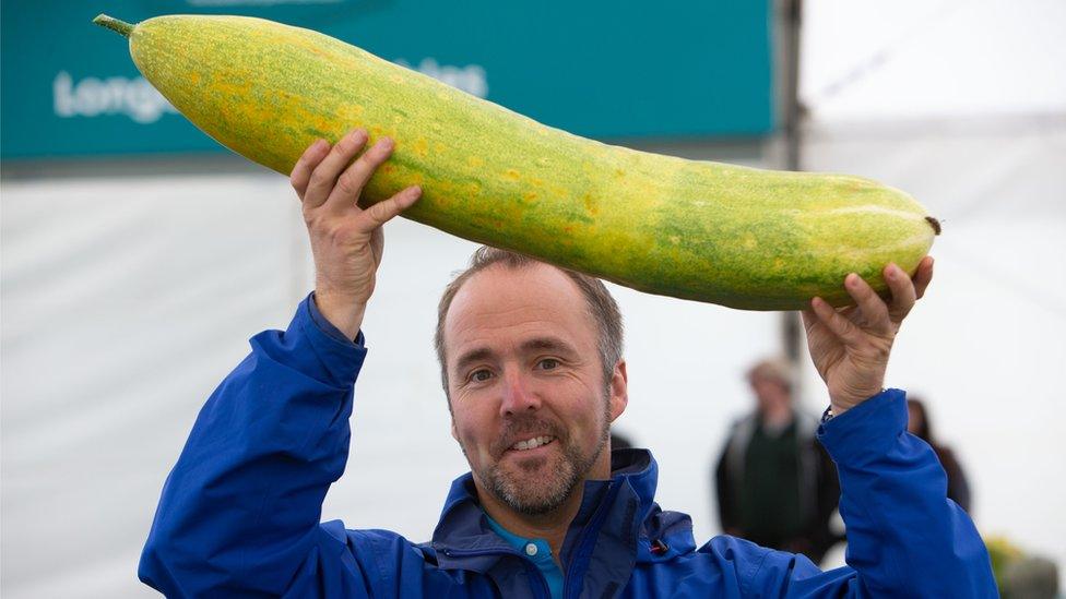 Malvern Autumn Show: Check out these massive vegetables! - BBC Newsround