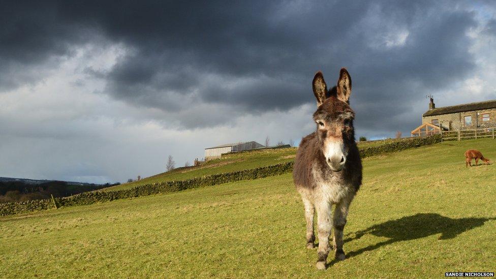 Your recent UK photos - BBC Weather
