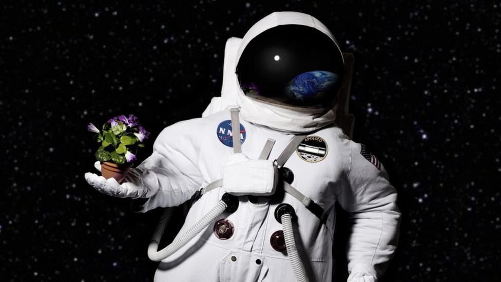 New study suggests Moon 'turned itself inside out' over billions of ...